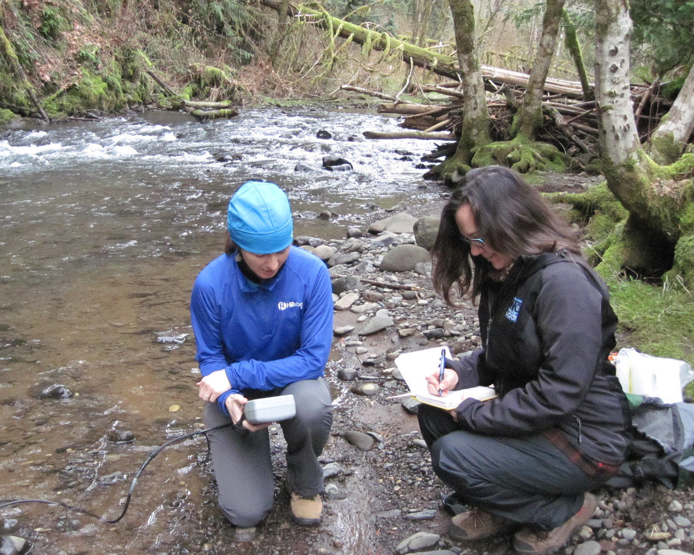 Willamette Water Treatment Plant Operator - Willamette Water Supply Program